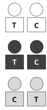 Randomized Block Design in Experiments Explained - Statistics By Jim